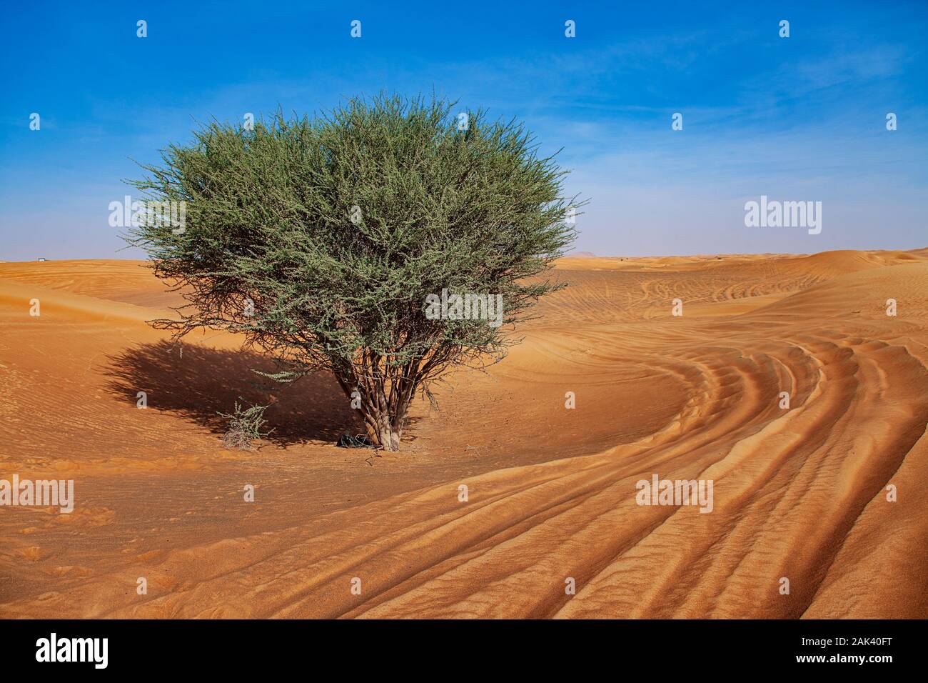 Barchans High Resolution Stock Photography and Images - Alamy