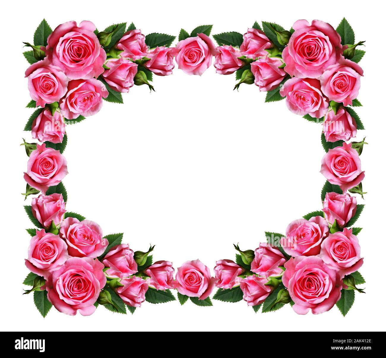 Pink rose flowers frame isolated on white background Stock Photo - Alamy