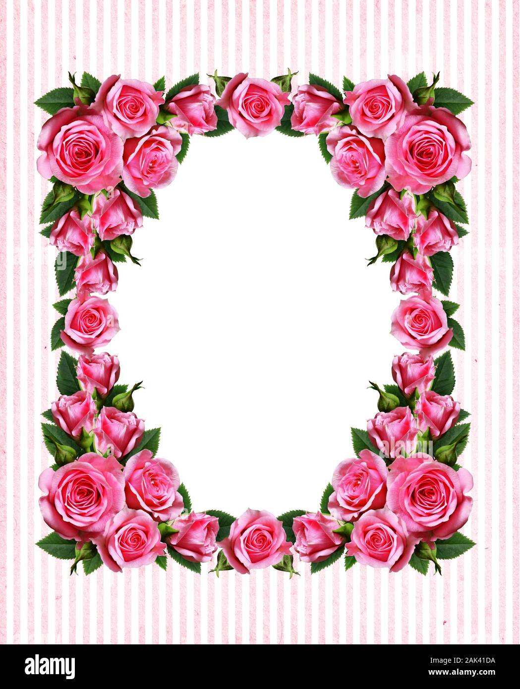 Pink Roses Frame