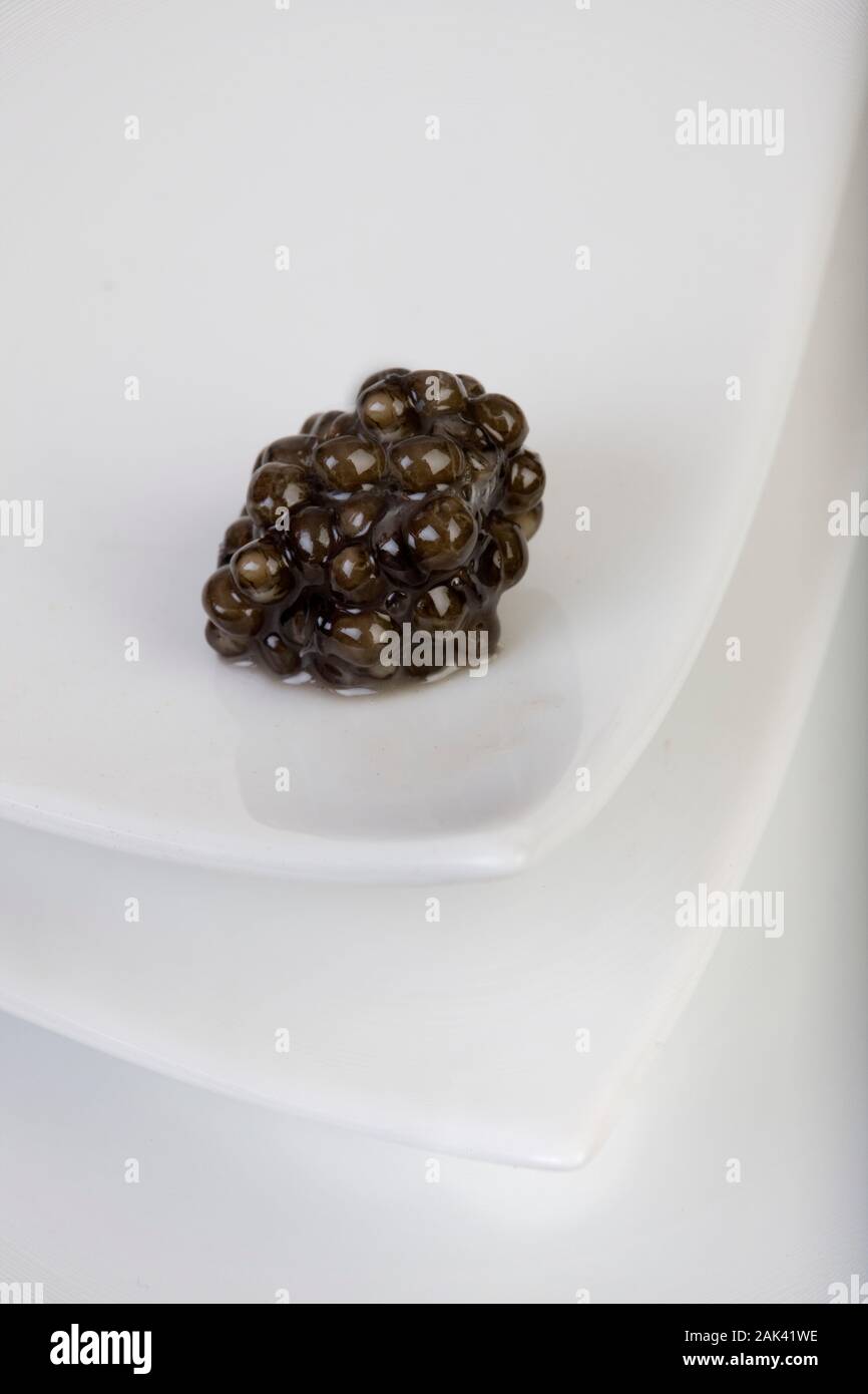 PLATE WITH CAVIAR, STURGEON'S EGGS Stock Photo - Alamy