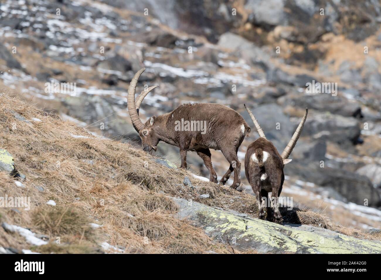Biodiversity land use italy hi-res stock photography and images - Alamy