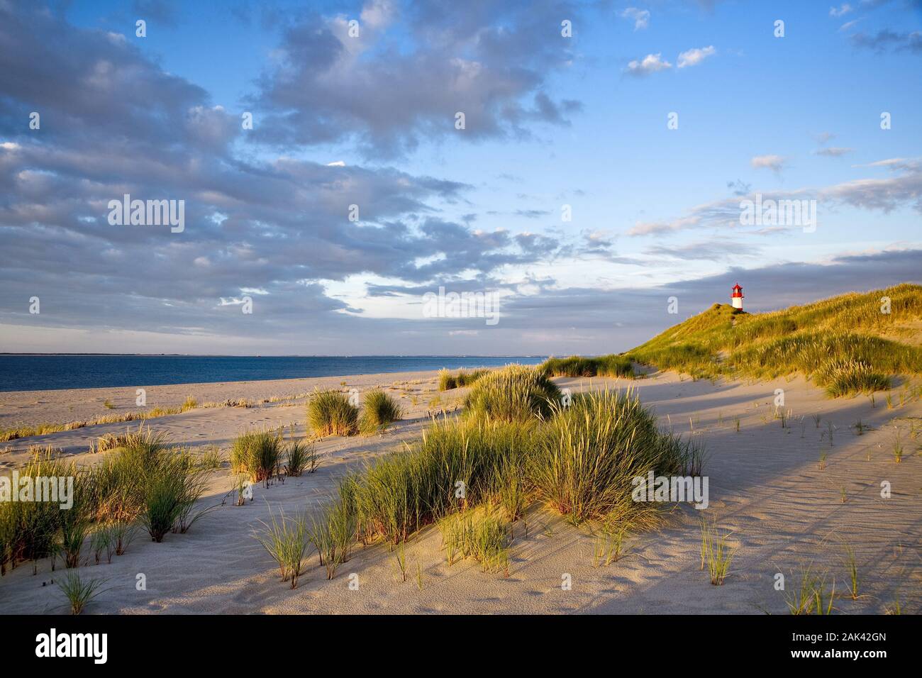 Beach on the island of Sylt (North Sea). Foto: Sabine Lubenow | usage ...