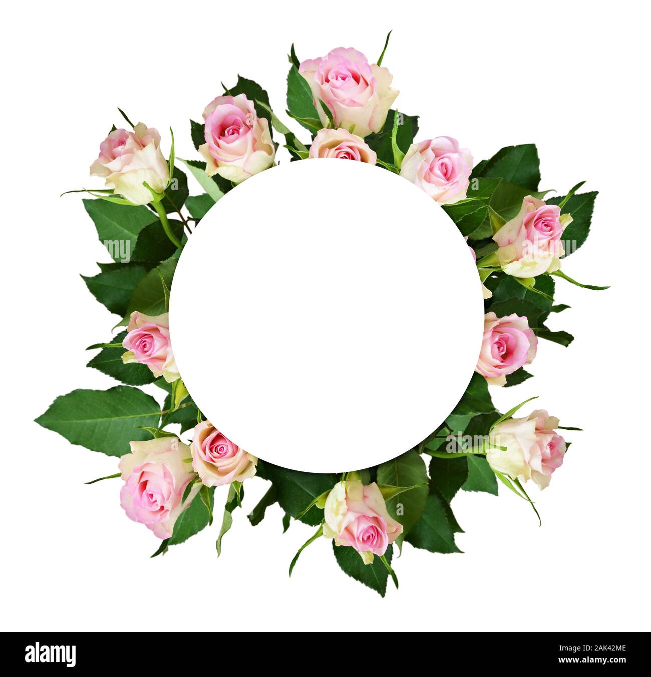 White and pink rose flowers bouquet and a round place for text isolated ...
