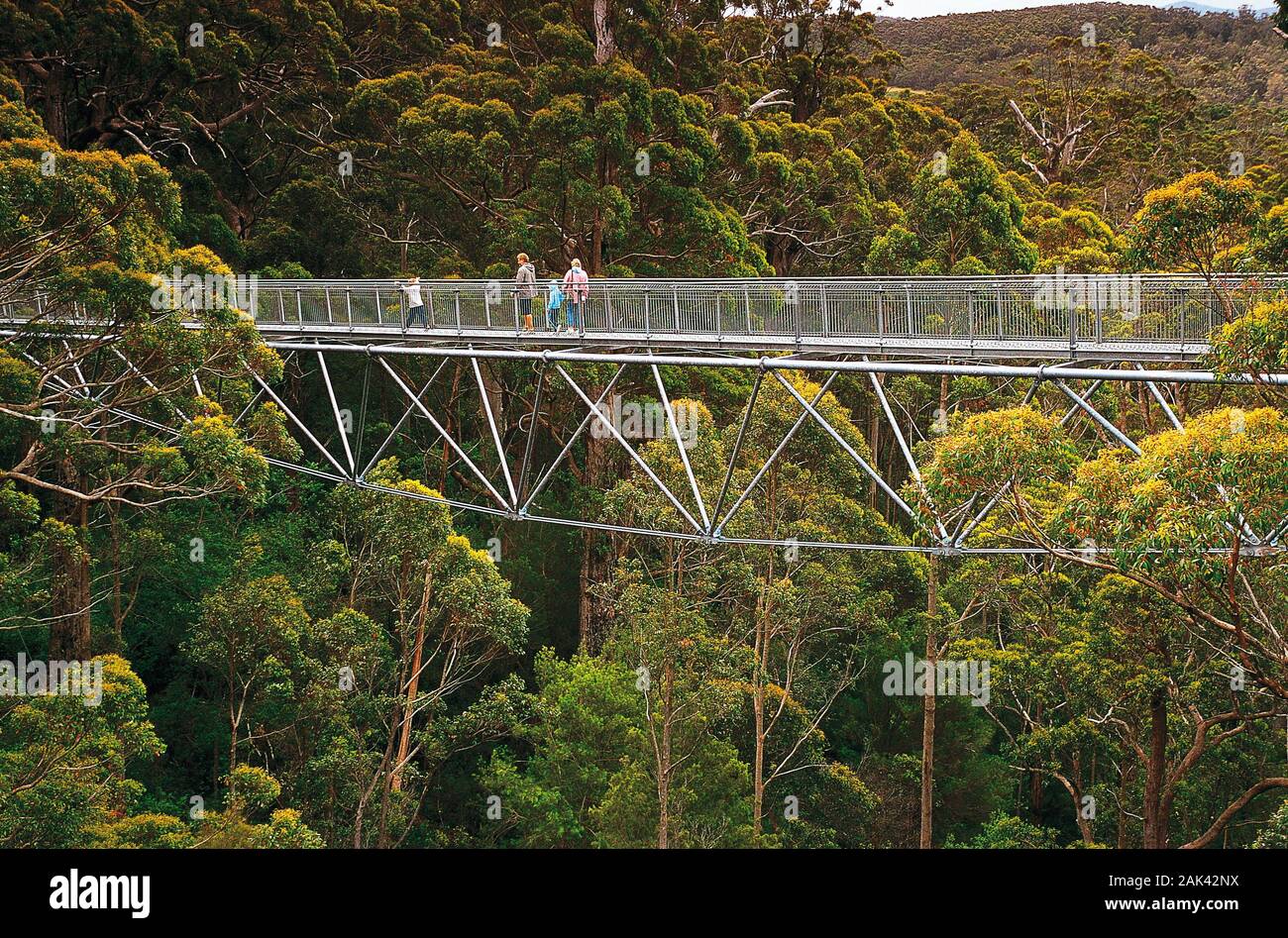 Walpole-Nornalup-Nationalpark, "Tree Top Walk" im Valley of the Gigants ...