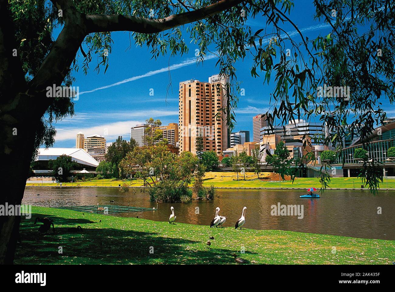 Skyline von Adelaide, Australien | usage worldwide Stock Photo - Alamy