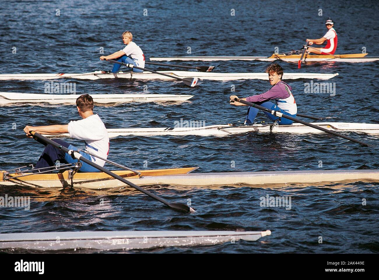 Ruderer auf der Havel, Berlin | usage worldwide Stock Photo - Alamy