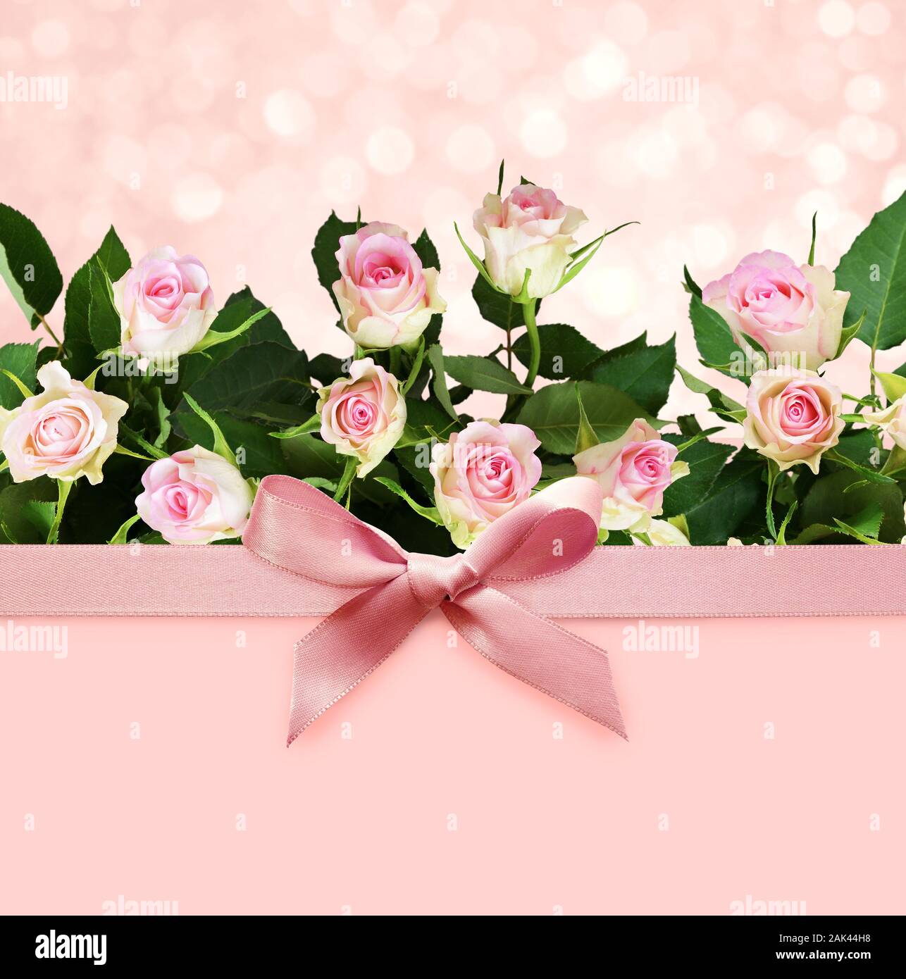 Beautiful rose flowers hi-res stock photography and images - Alamy