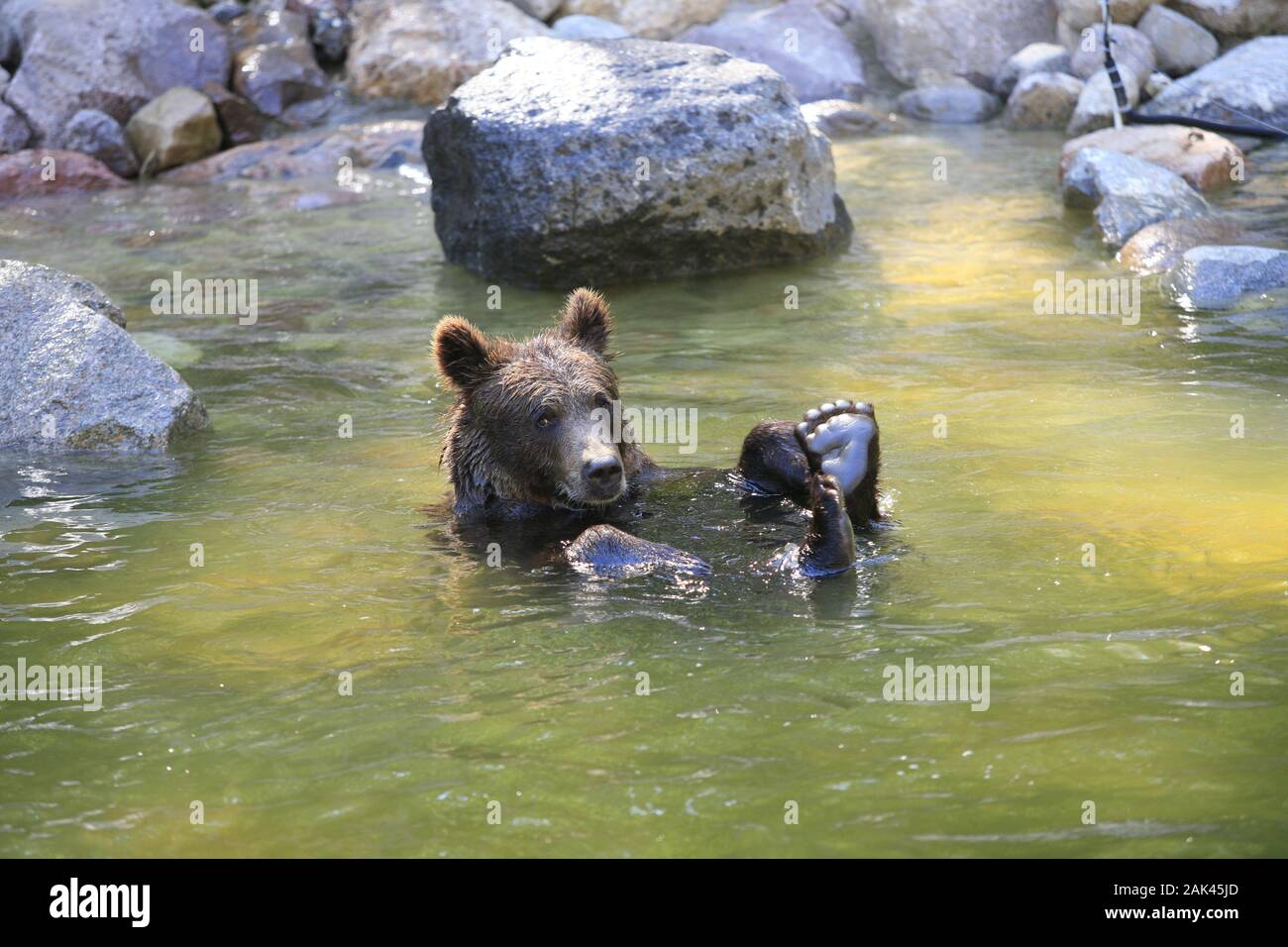 Natur und umweltpark hi-res stock photography and images - Alamy