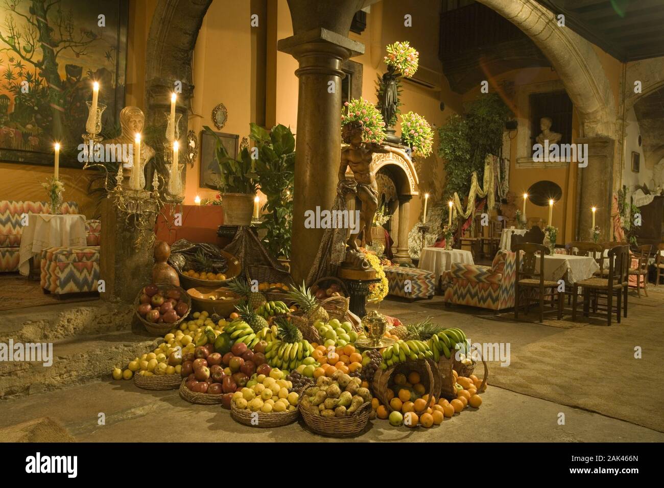 Abaco palma hi-res stock photography and images - Alamy