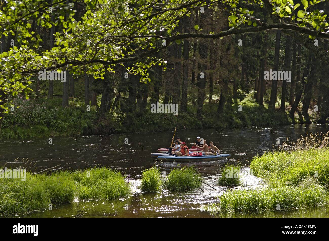 Paddelboote auf der Moldau südlich von Krumau, Tschechien | usage ...