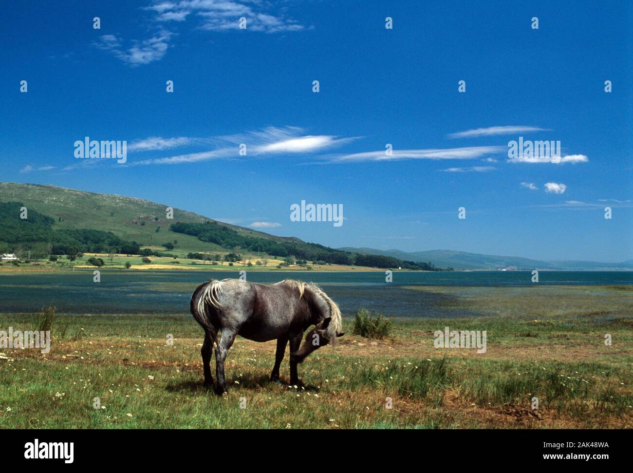 Ebro basin hi-res stock photography and images - Alamy