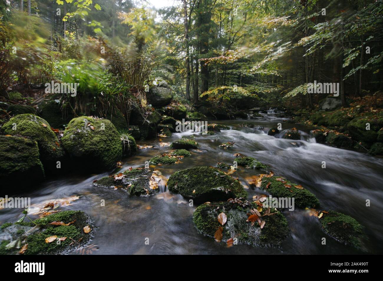 Bayerische wald hi-res stock photography and images - Alamy