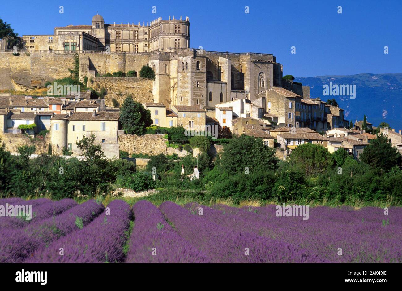 Castle of grignan architecture hi-res stock photography and images - Alamy