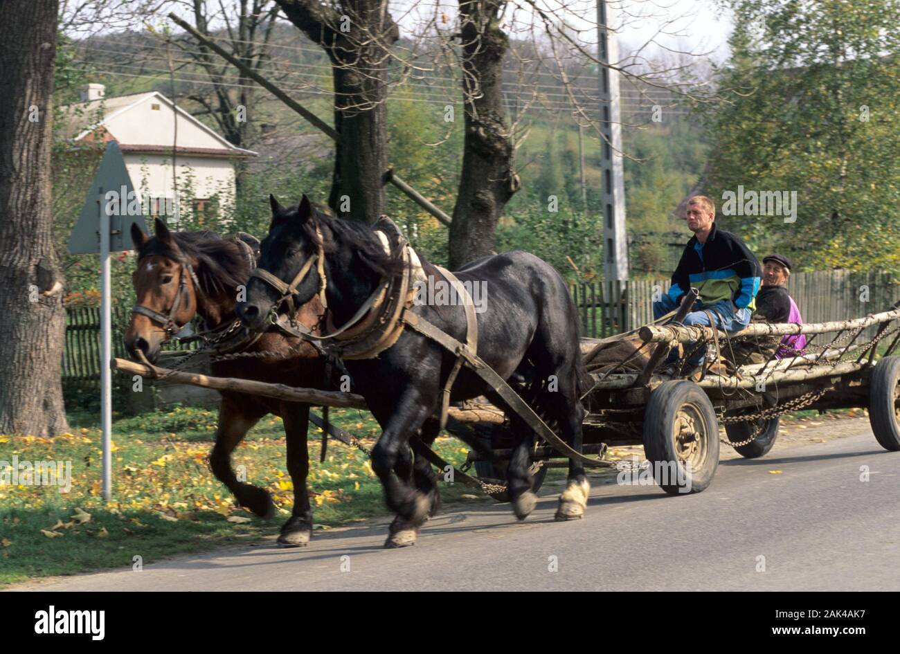 Panje horse cart hi-res stock photography and images - Alamy