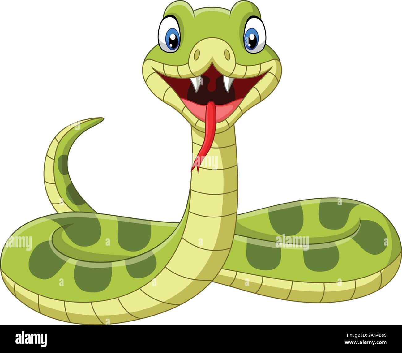 Cute green snake cartoon on white background Stock Vector Image & Art ...