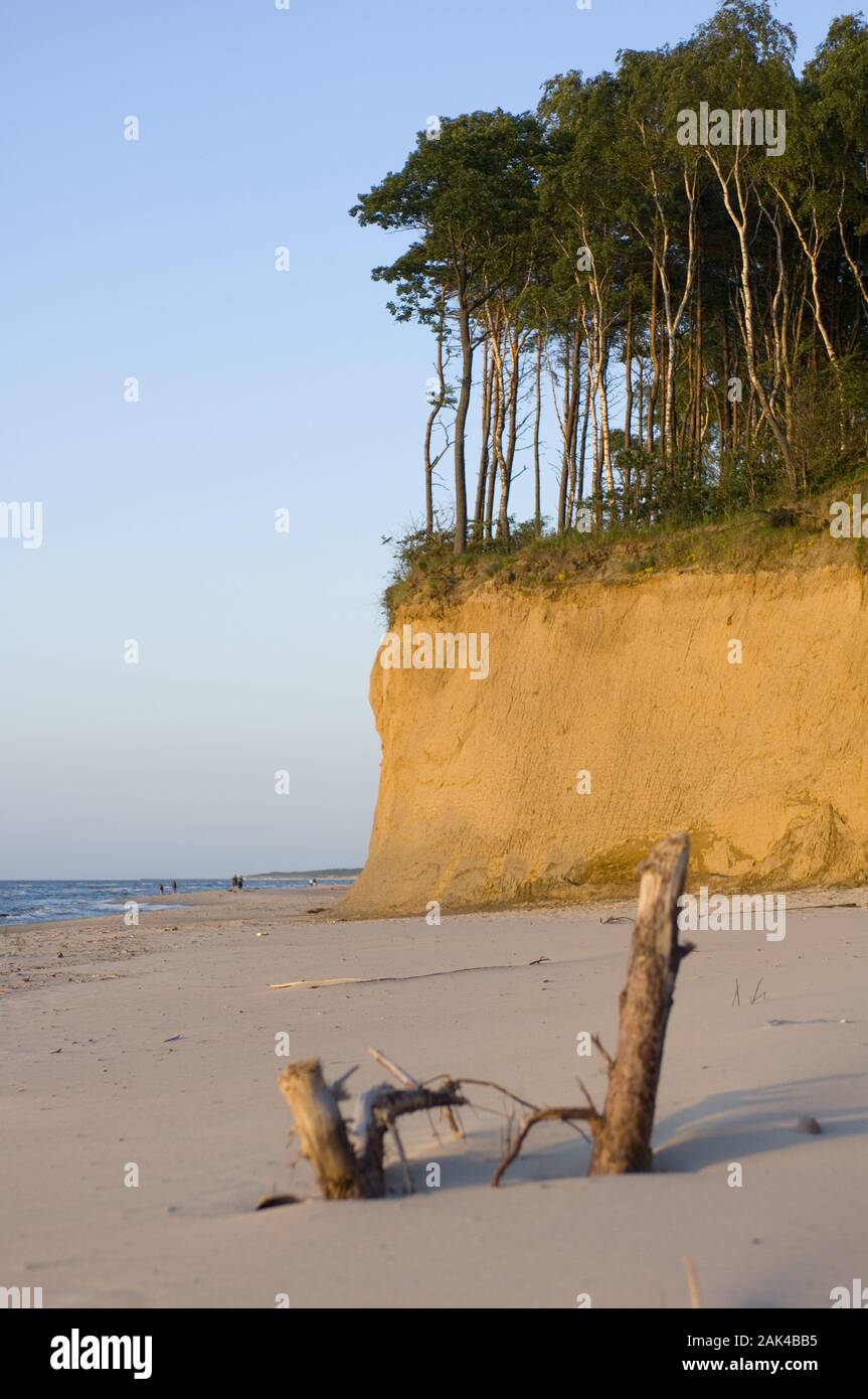 Strand in Wollin, Polen | usage worldwide Stock Photo - Alamy