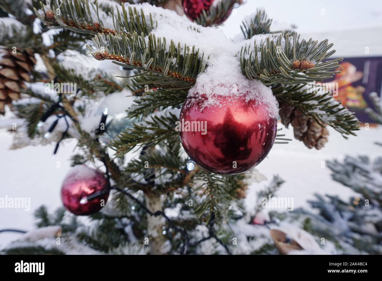 Toy under christmas tree hi-res stock photography and images - Alamy