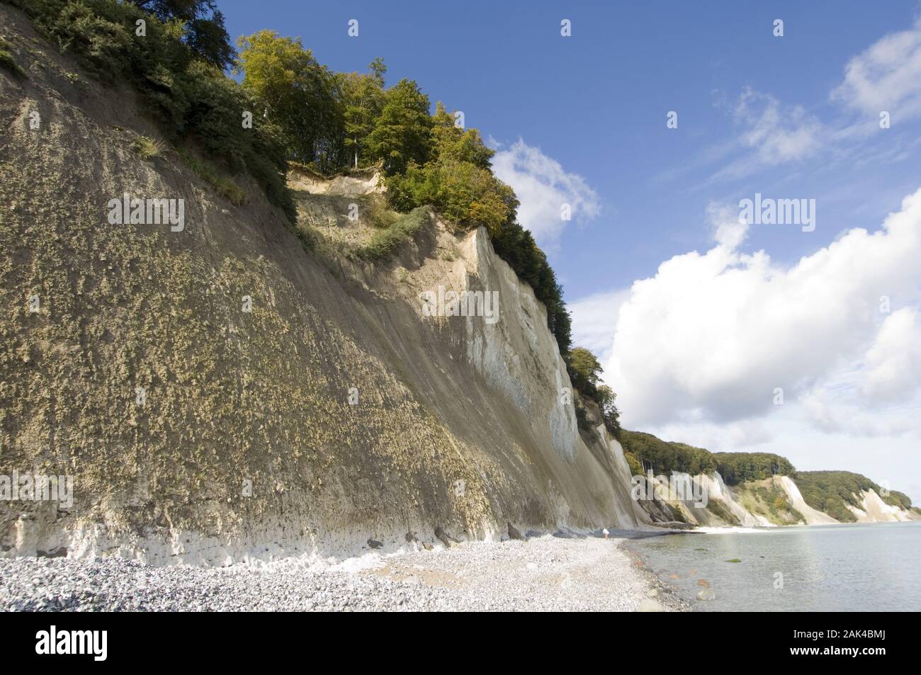 Kreidefelsen im Nationalpark Jasmund, Rügen | usage worldwide Stock ...