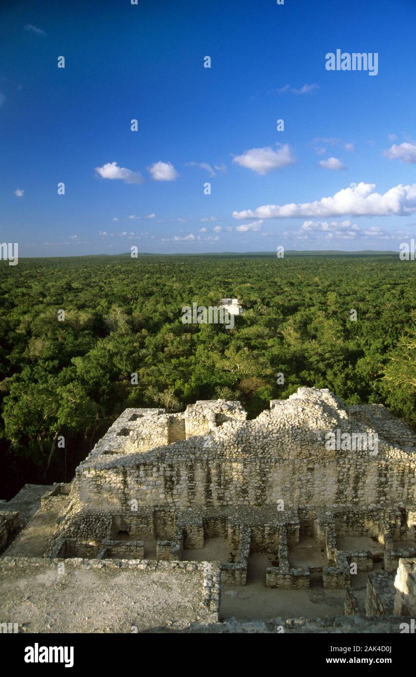 Mexico: ruins of the Maya city Calakmul in the middle of the jungle, in ...