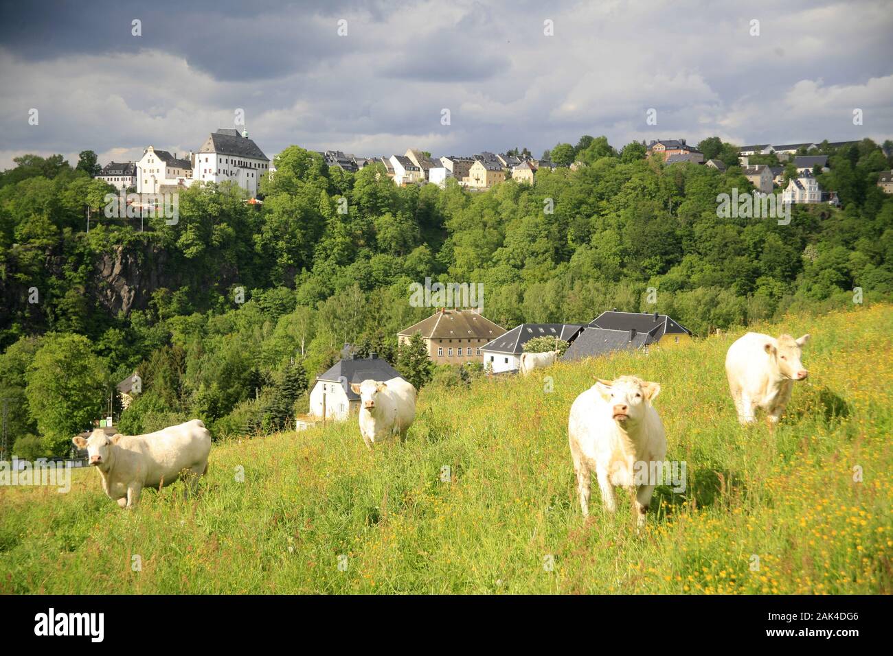 Germany: Ore Mountains - Overlooking Wolkenstein | usage worldwide ...