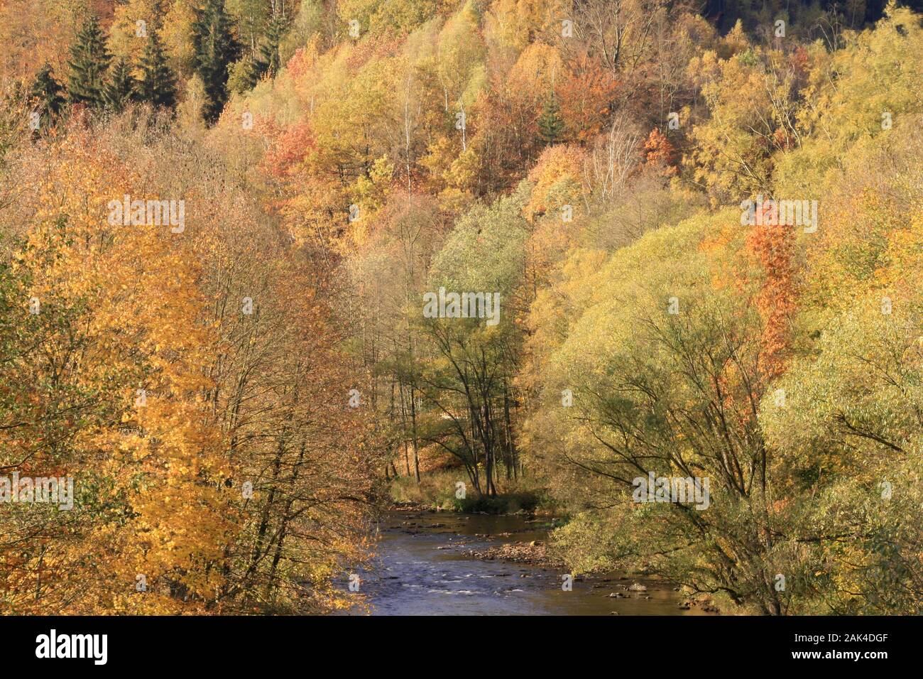 Middle ore mountains hi-res stock photography and images - Alamy