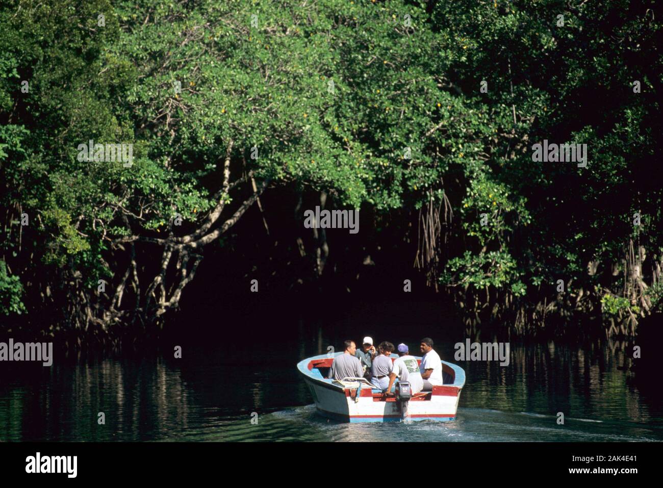 Dominican Republic - Boat tour through the mangrove trees of the Gri ...