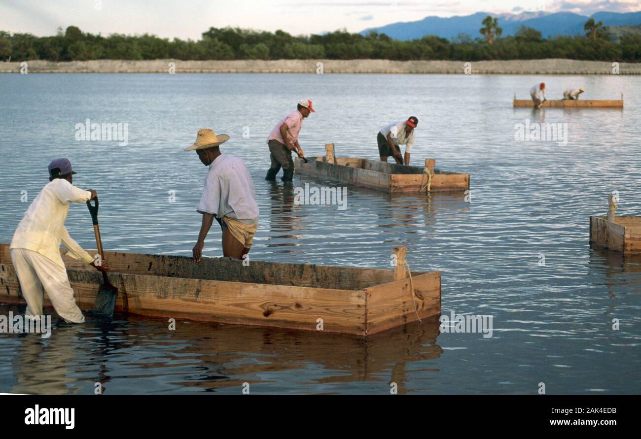 Dominican Republic - Haitians work hard in the salt winning business in ...