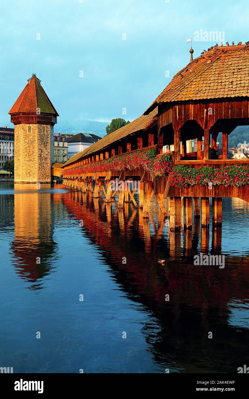Kapellbrücke in Luzern, Schweiz | usage worldwide Stock Photo - Alamy