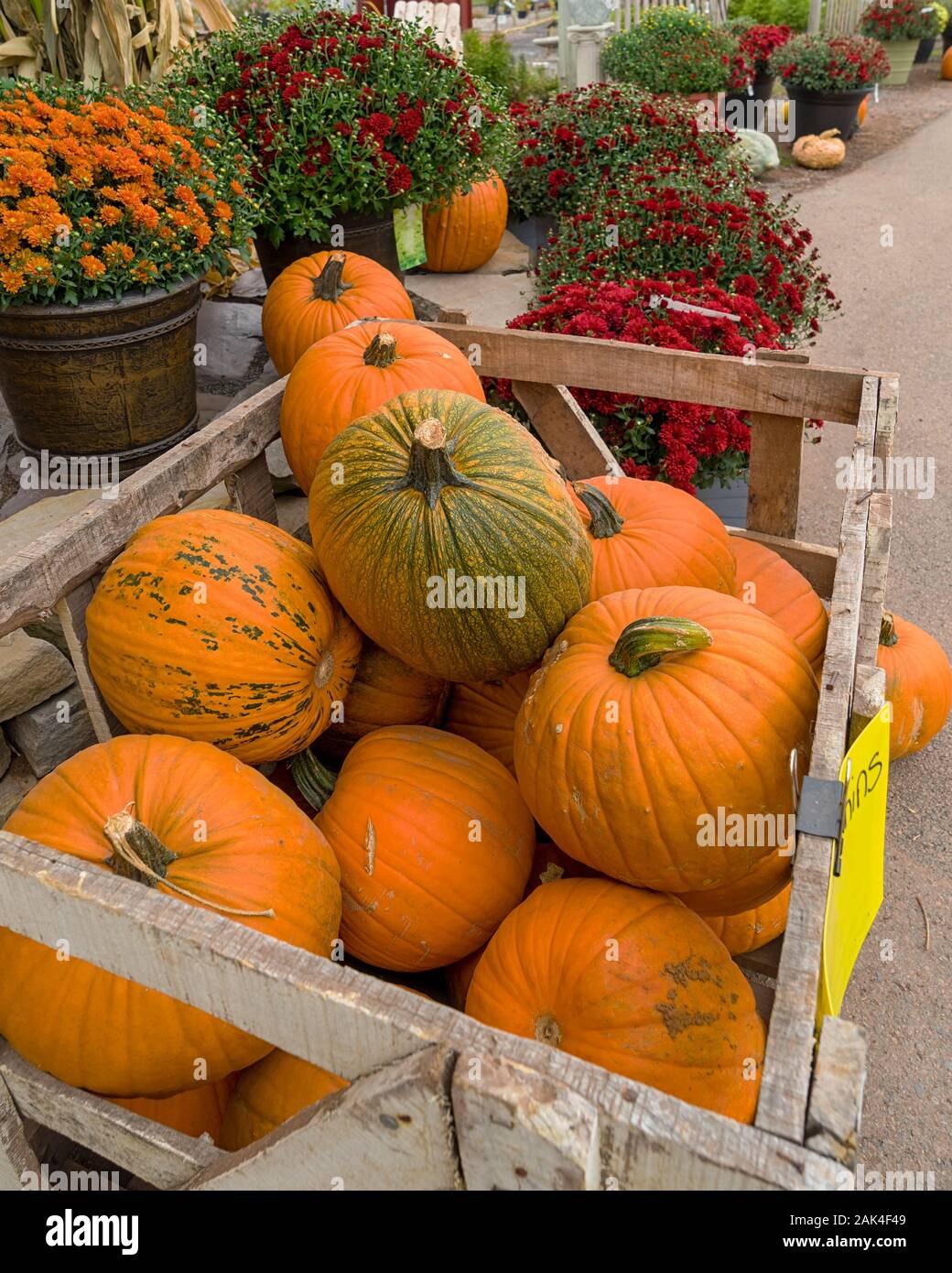 Retail setting hi-res stock photography and images - Alamy