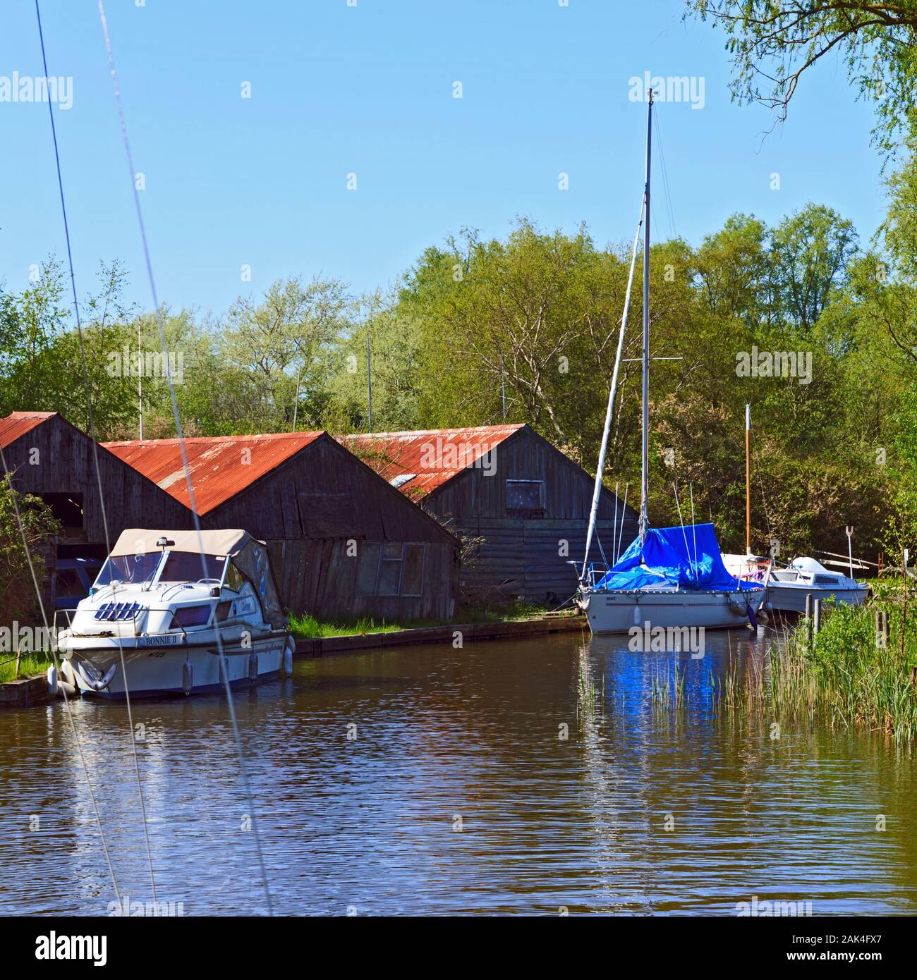 Boat moorings on small Creek on Hickling Broad on the Norfolk Broads ...