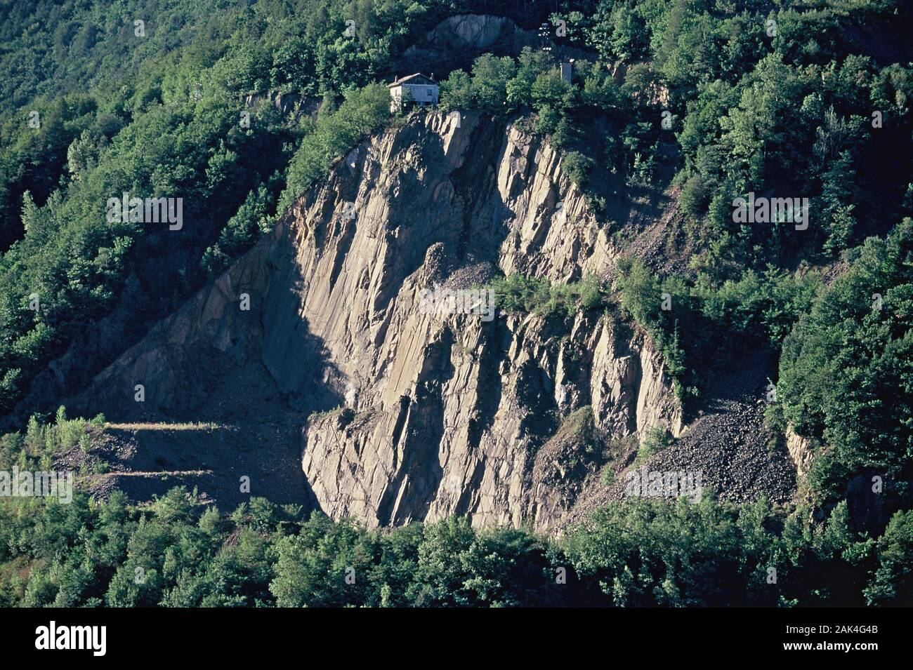 Shrubs and trees growing around a porphyry quarry in the Valle di ...