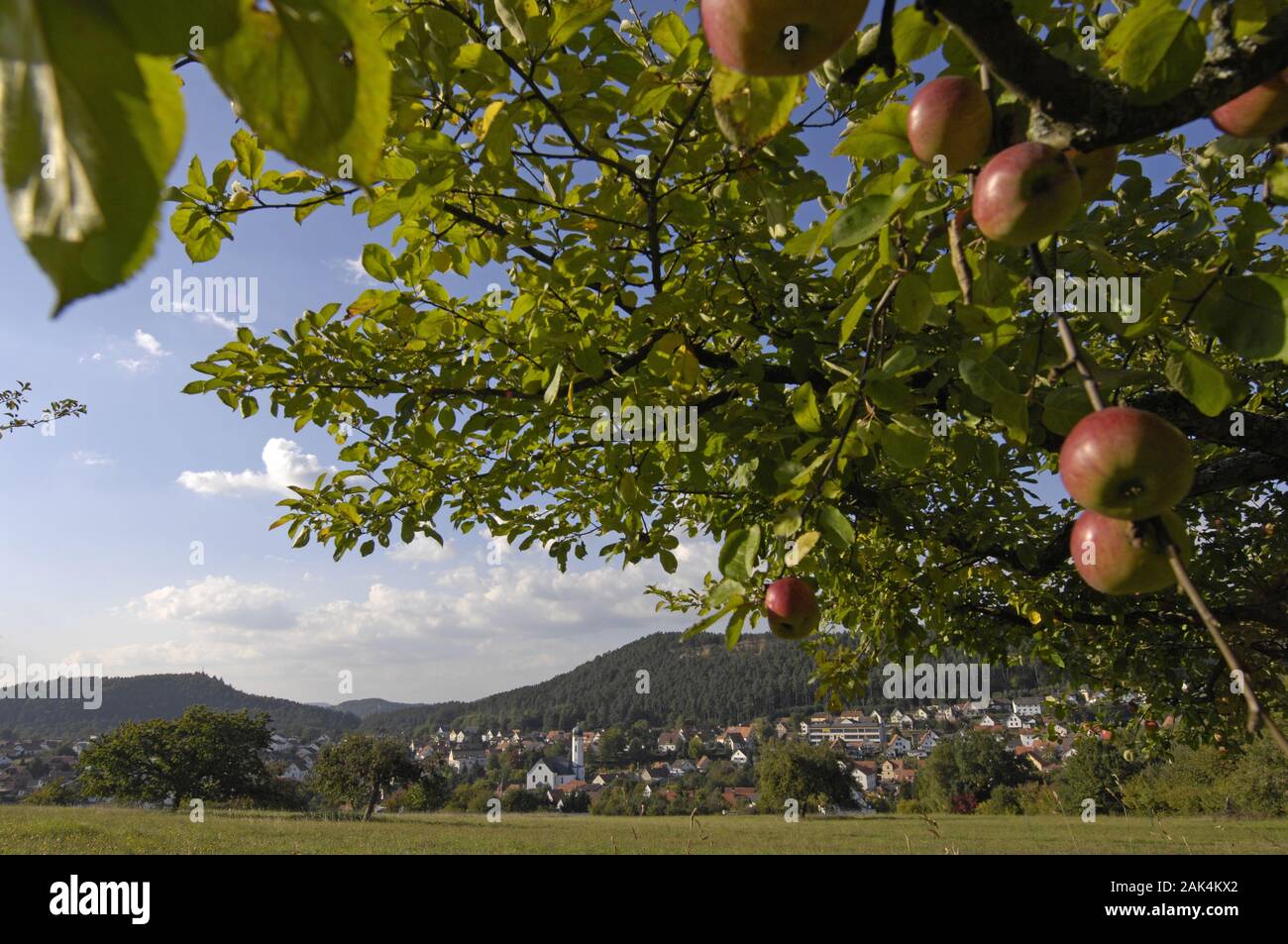 Busenberg hi-res stock photography and images - Alamy