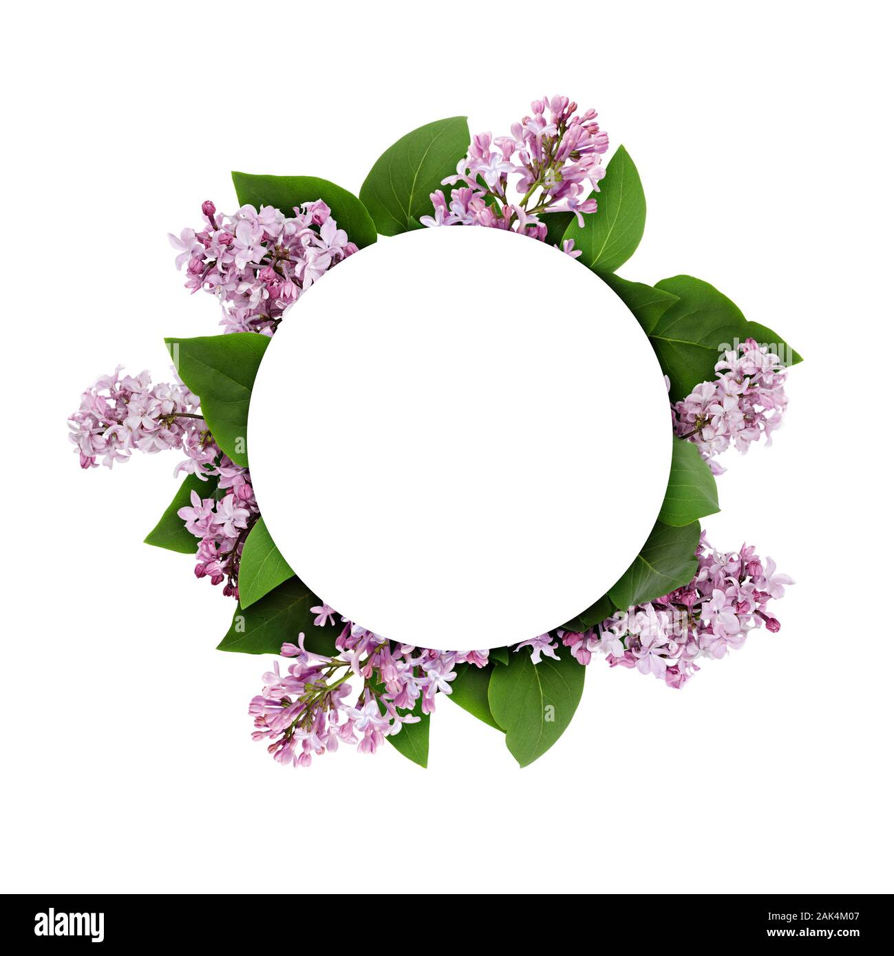 Lilac flowers on round frame with white circle for text isolated on ...
