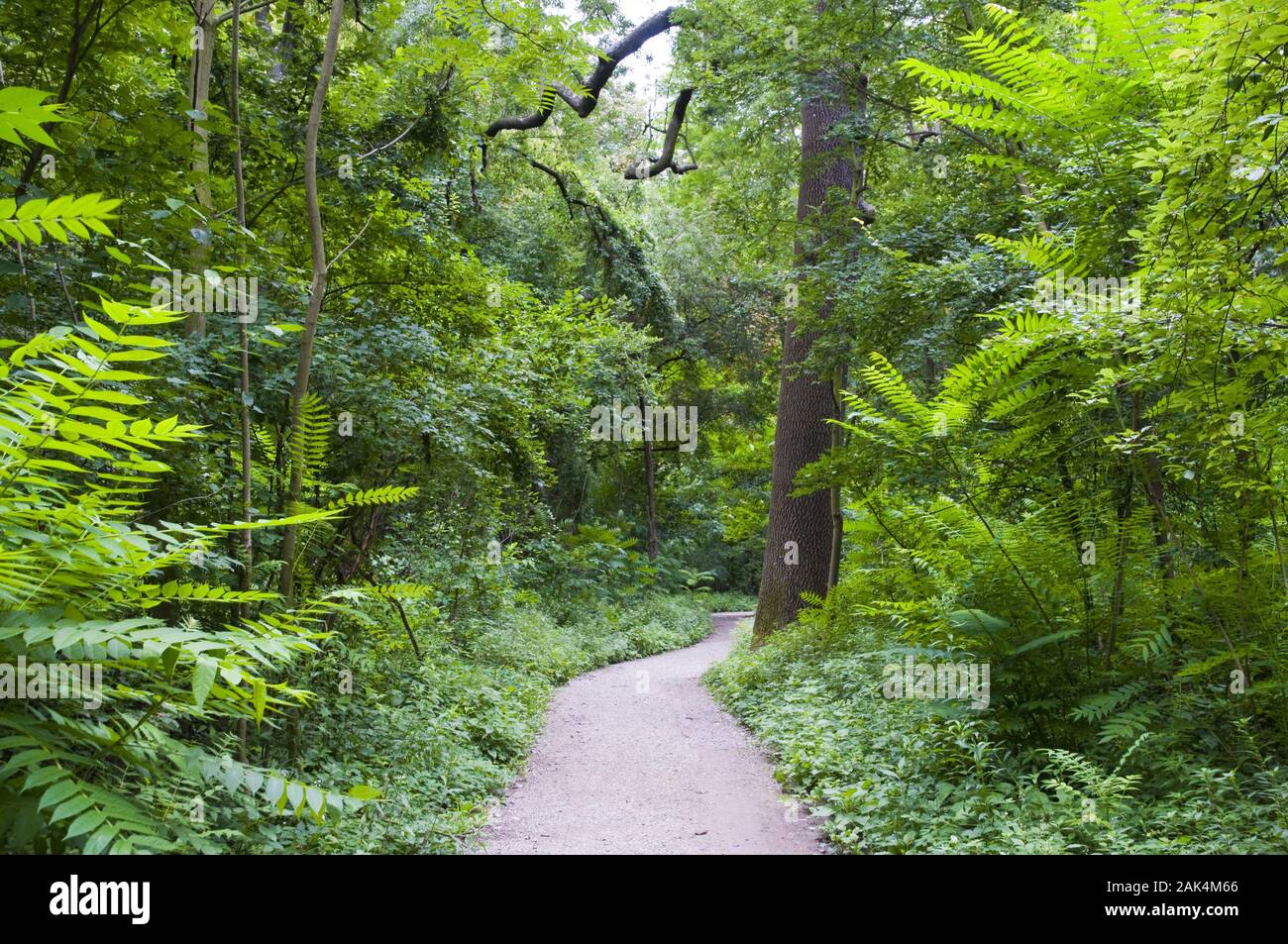 Nationalpark nationalpark donauauen hi-res stock photography and images ...