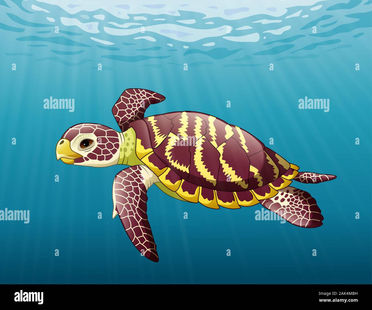 Teamwork Cute Turtles