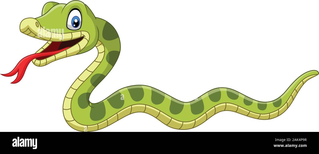 Cute green snake cartoon on white background Stock Vector Image & Art ...