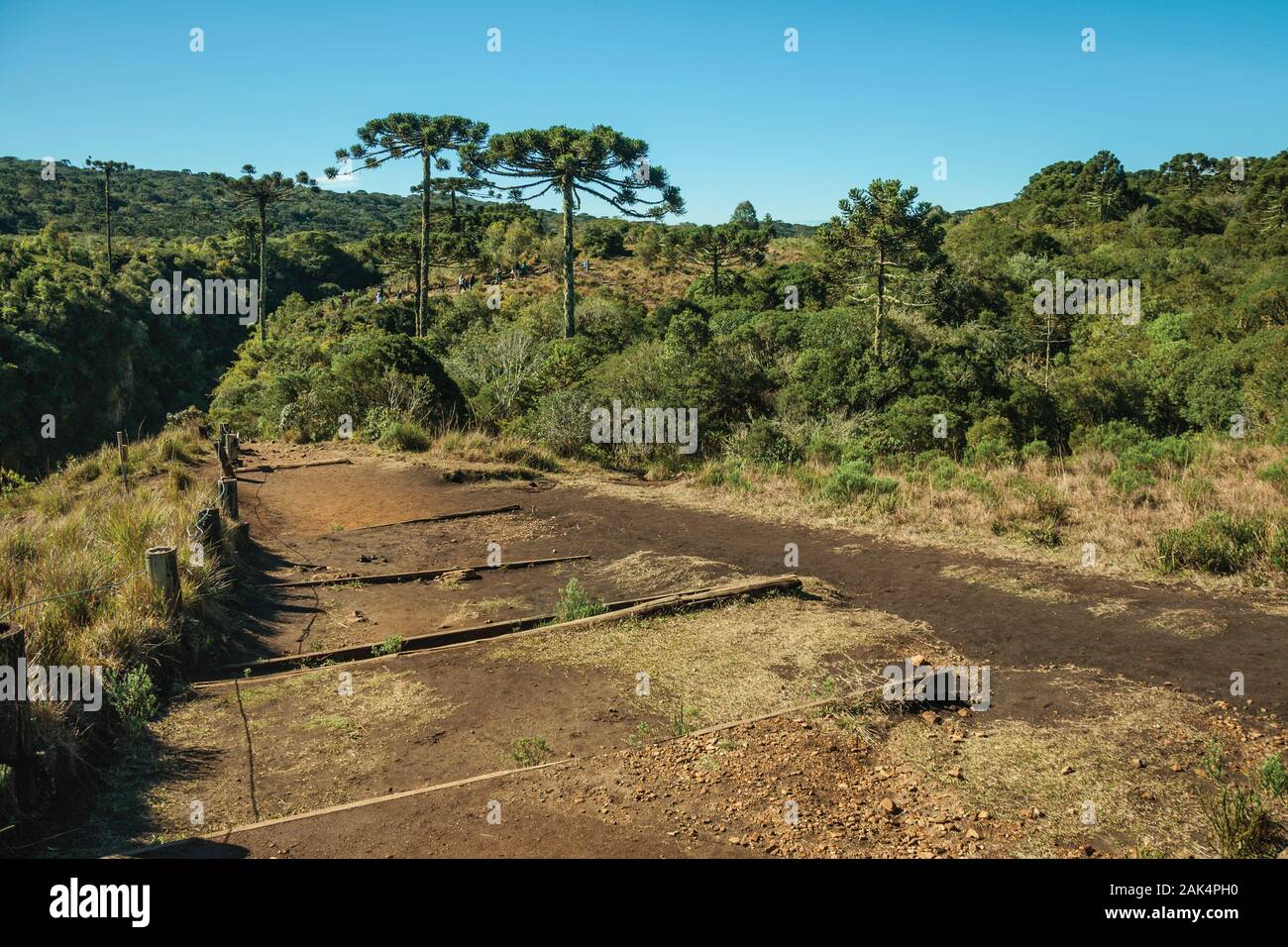 Rough pathway and people at the Itaimbezinho Canyon with lush forest ...