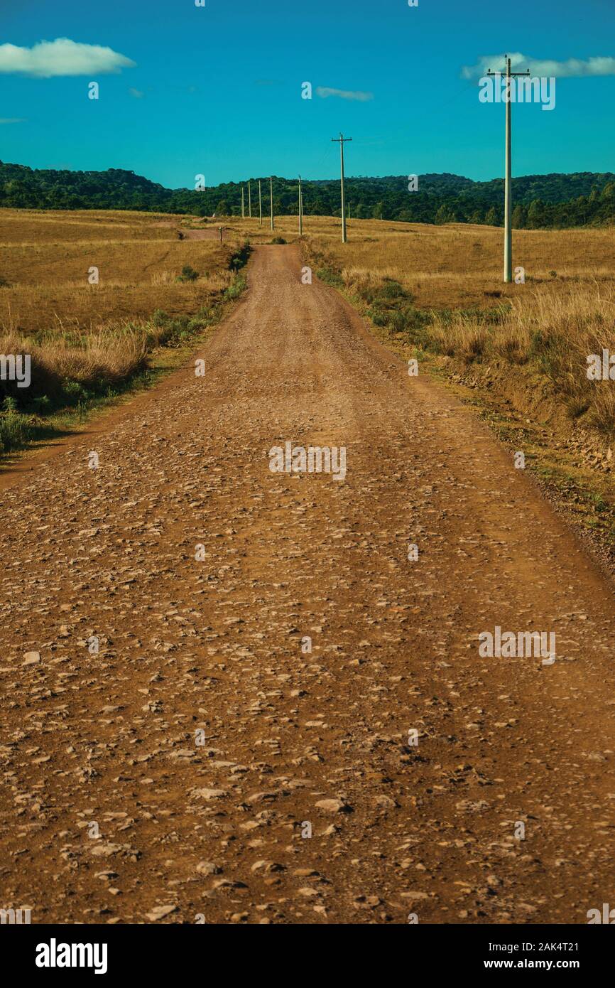 Deserted dirt road passing through rural lowlands called Pampas near ...
