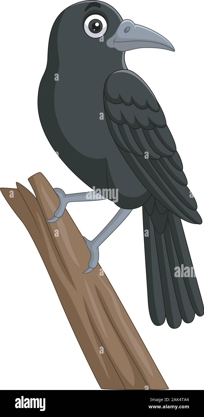 Cartoon crow standing on a tree branch Stock Vector Image & Art - Alamy