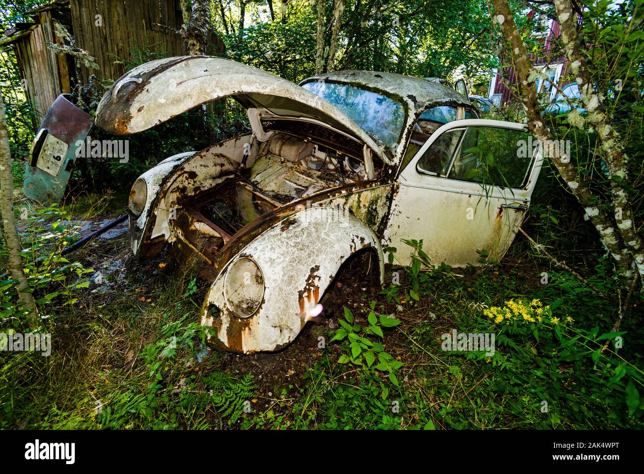 Car cemetery hi-res stock photography and images - Alamy