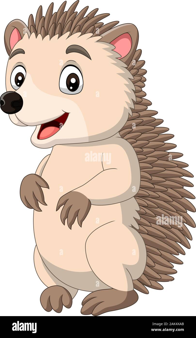 Cartoon happy hedgehog standing on white background Stock Vector Image ...