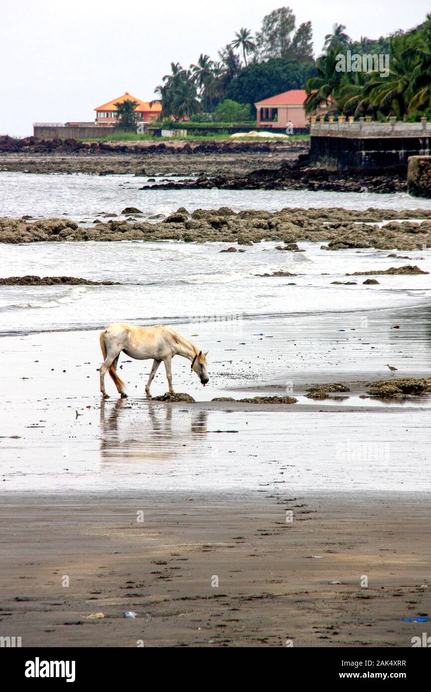 Conakry Beach