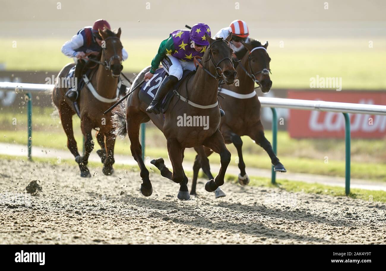 Win visit standard open nh flat race lingfield park racecourse hi-res ...