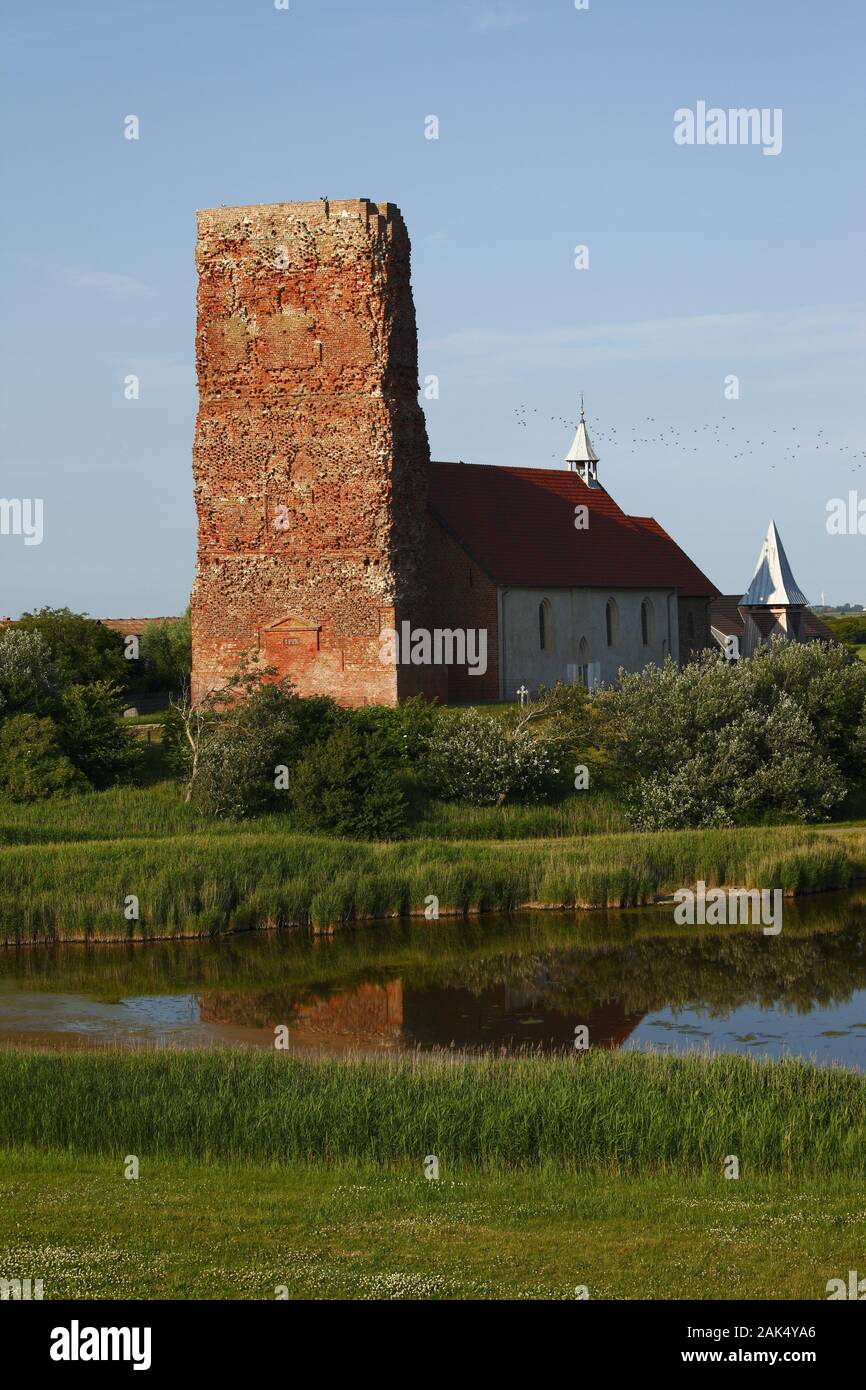 Insel Pellworm: Alte Kirche St. Salvator mit dem Turm aus dem 13. Jhr ...
