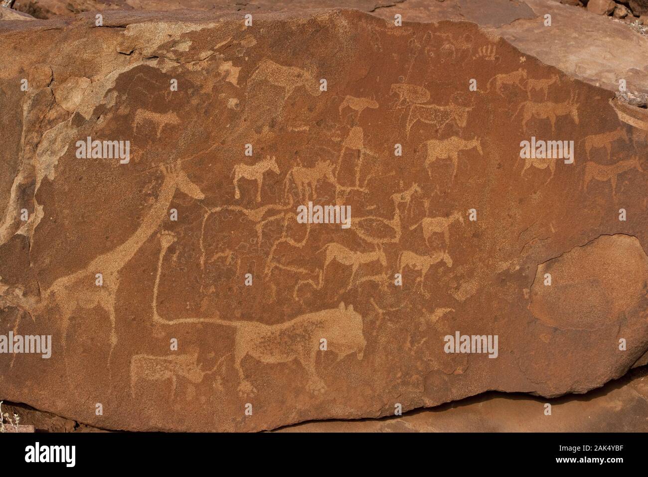 Felsgravuren von Twyfelfontein (UNESCO Weltkulturerbe), Namibia | usage ...
