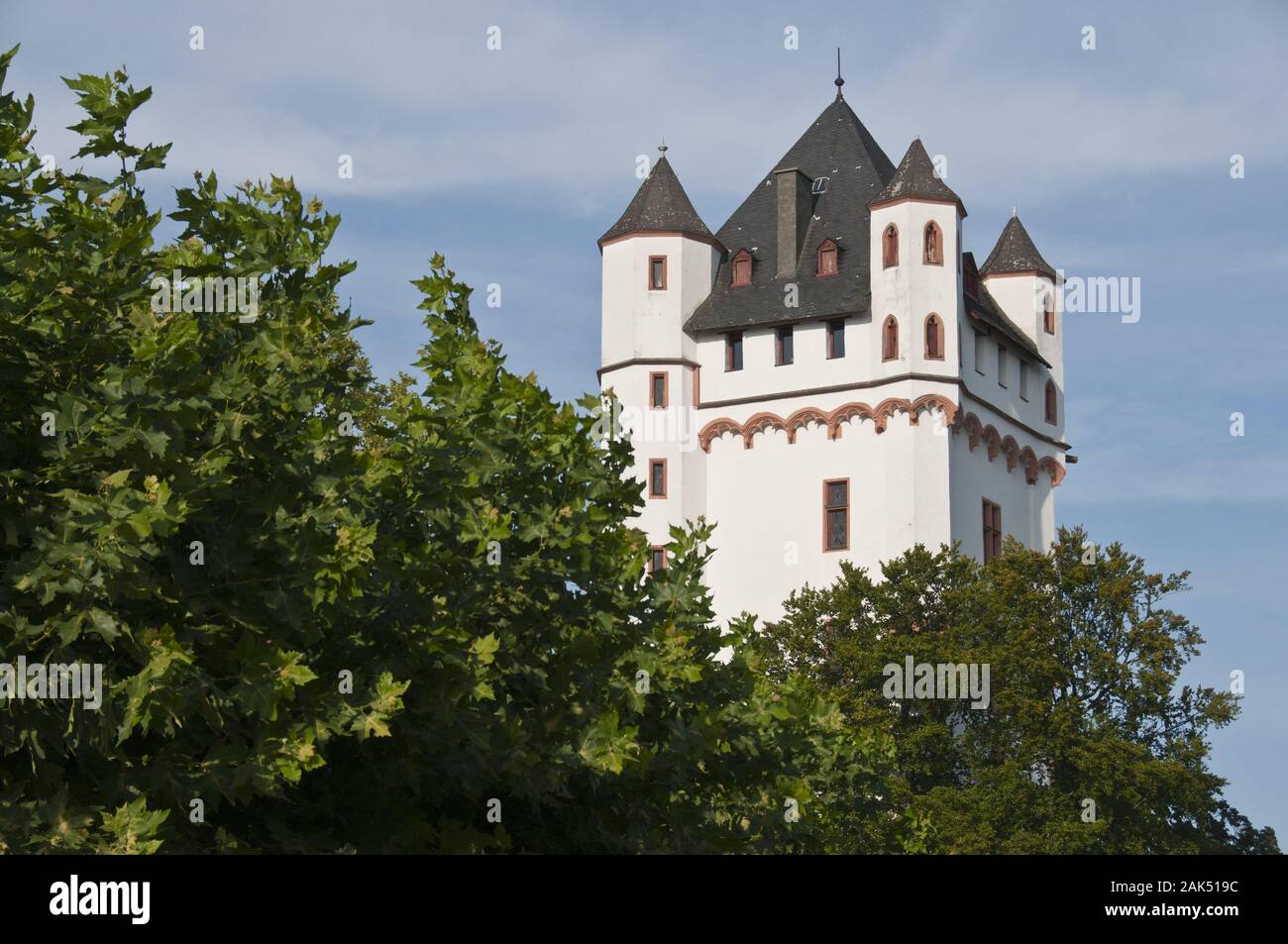 Burg eltville hi-res stock photography and images - Alamy