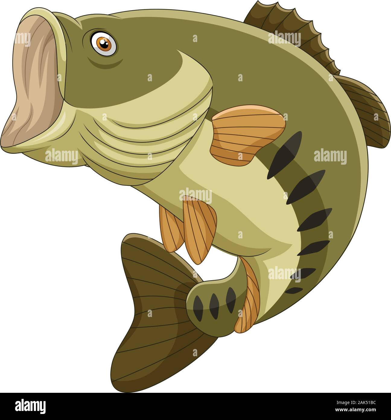 Cartoon bass fish isolated on white background Stock Vector Image & Art ...