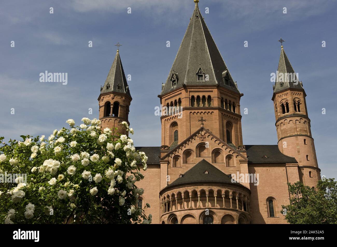 St stephan zu mainz hi-res stock photography and images - Alamy