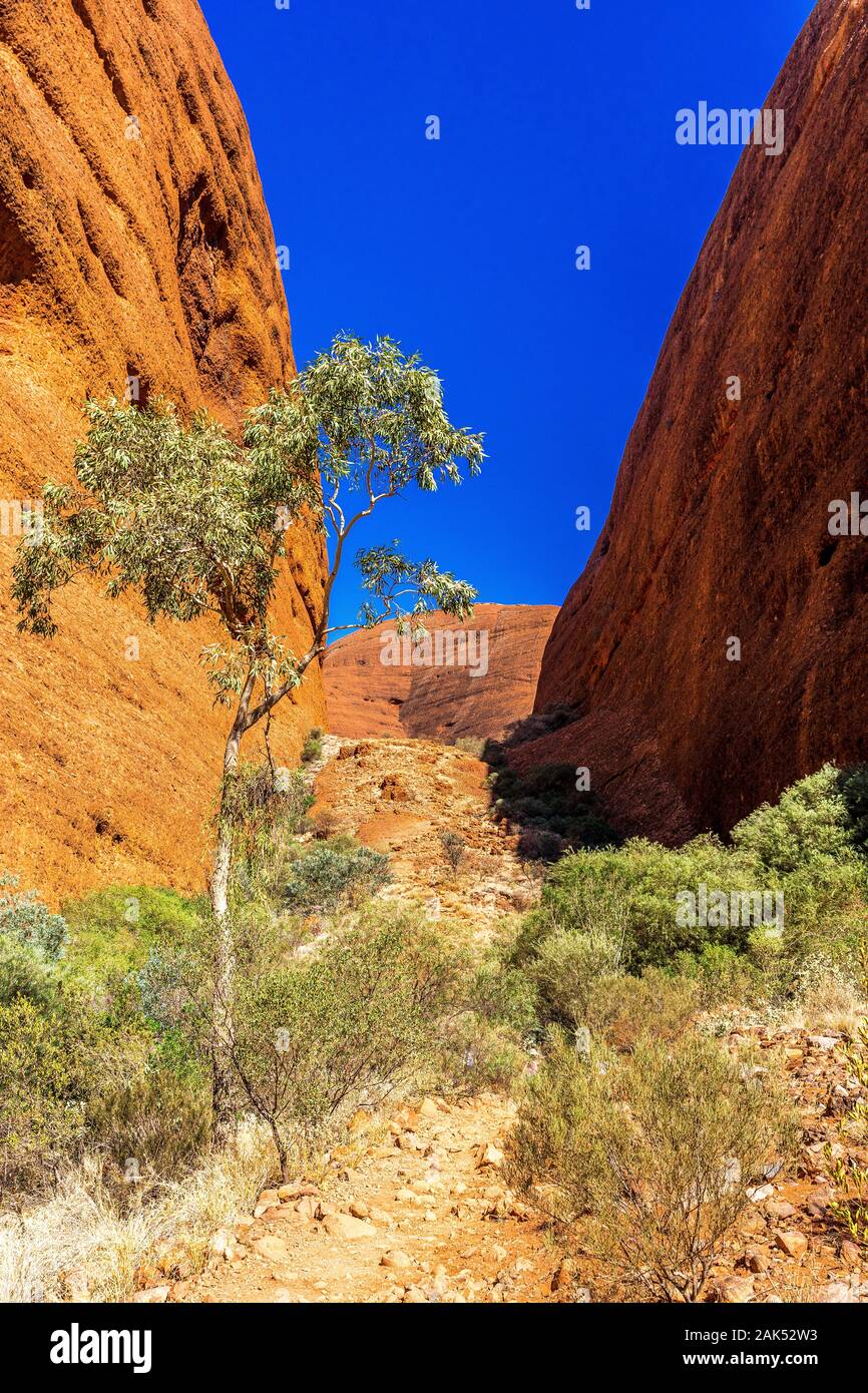 Valley Of The Winds Walk In The Olgas Kata Tjuta National Park