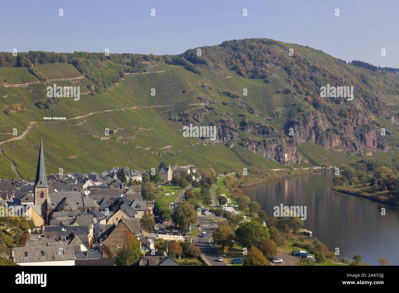 Uerzig: Blick auf Stadt und Steilhaenge des Uerziger Wuerzgarten, Mosel ...